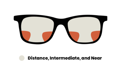 Single Vision vs. Progressive Lenses - Heartland Optical
