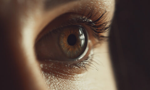 Optometry Glossary: Terms For Understanding Your Eye Care - Heartland ...